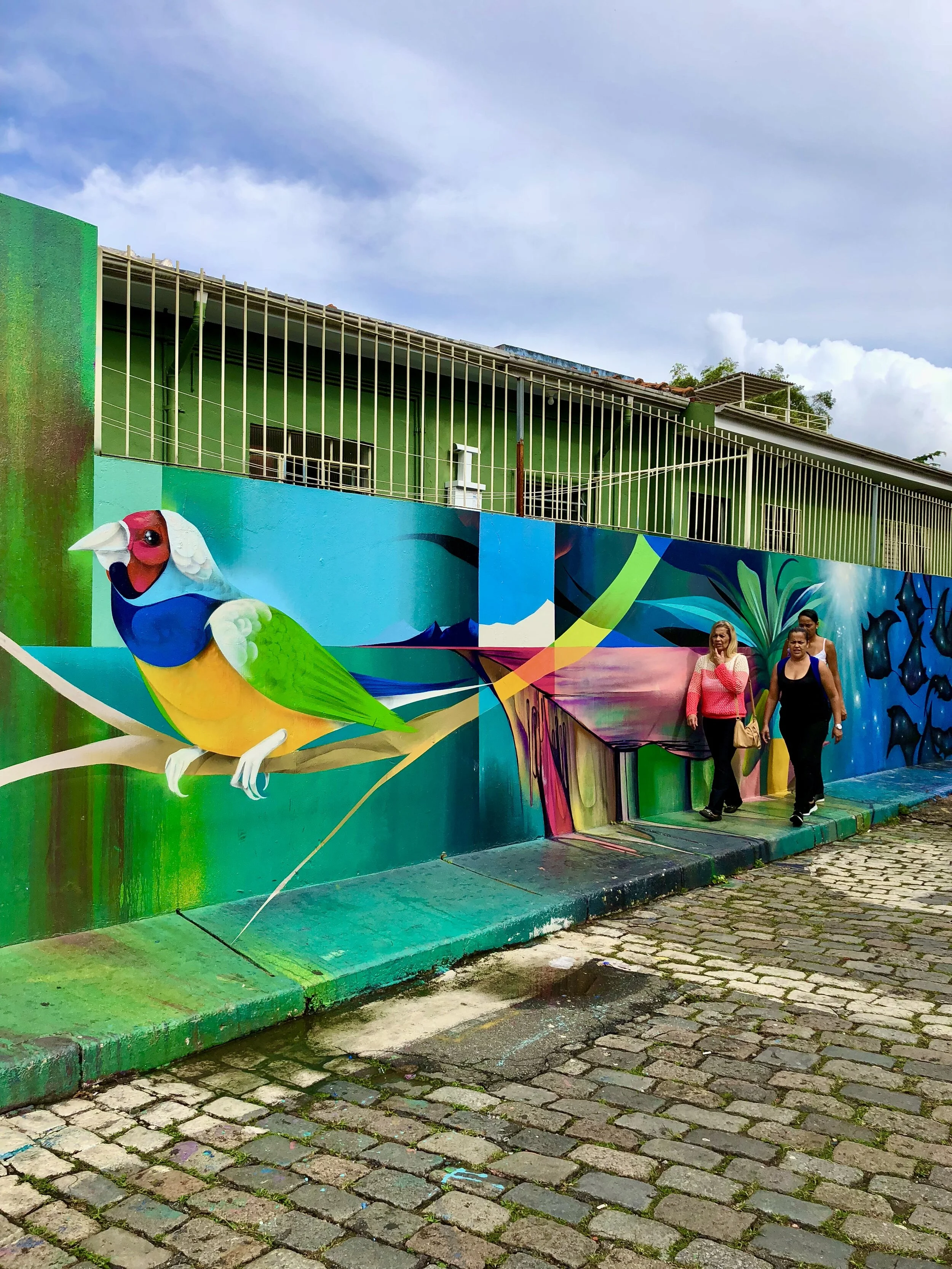 Brazil: A Country of Contrasts — Forte Fotos