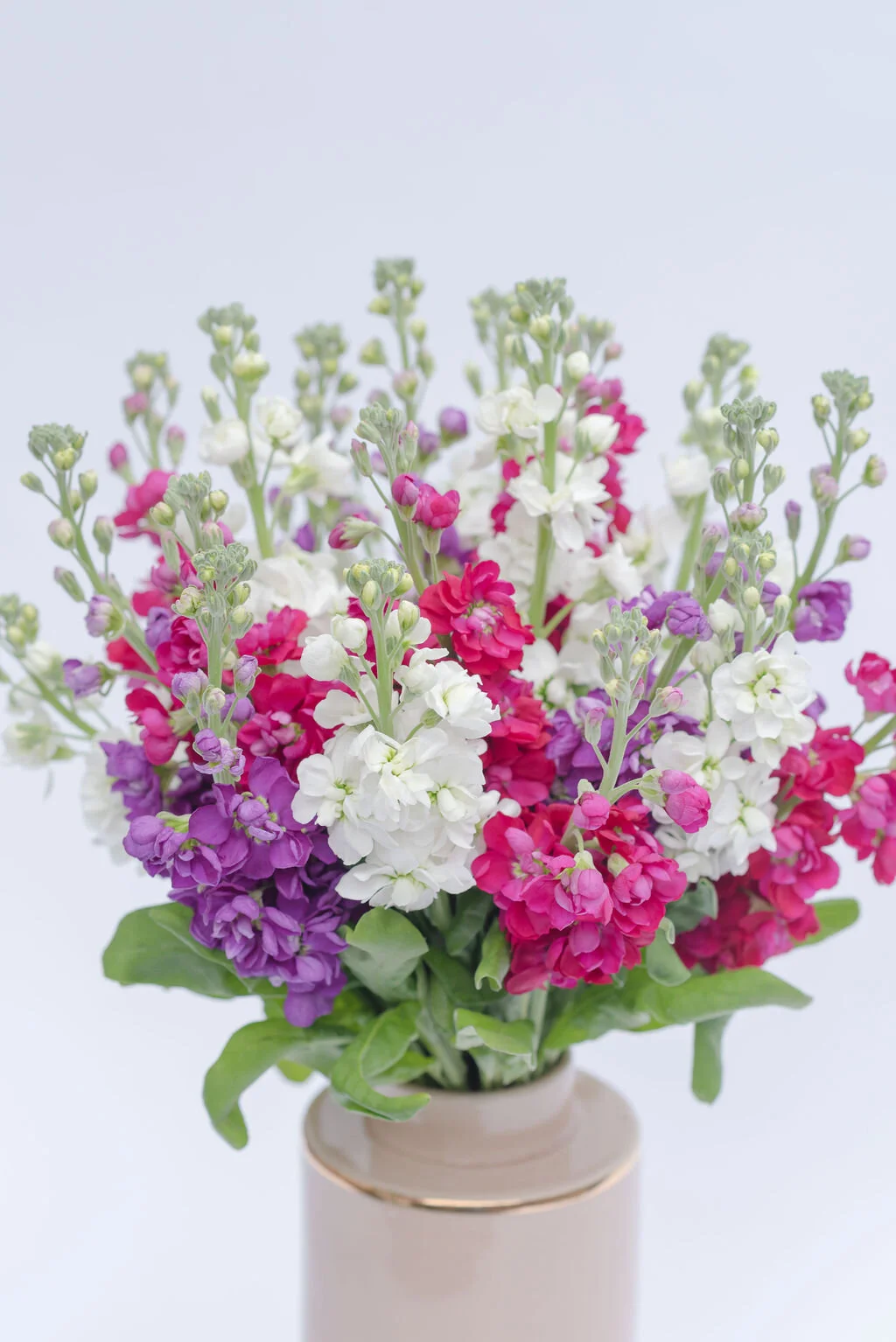 Flower Shop — Bramble & Willow