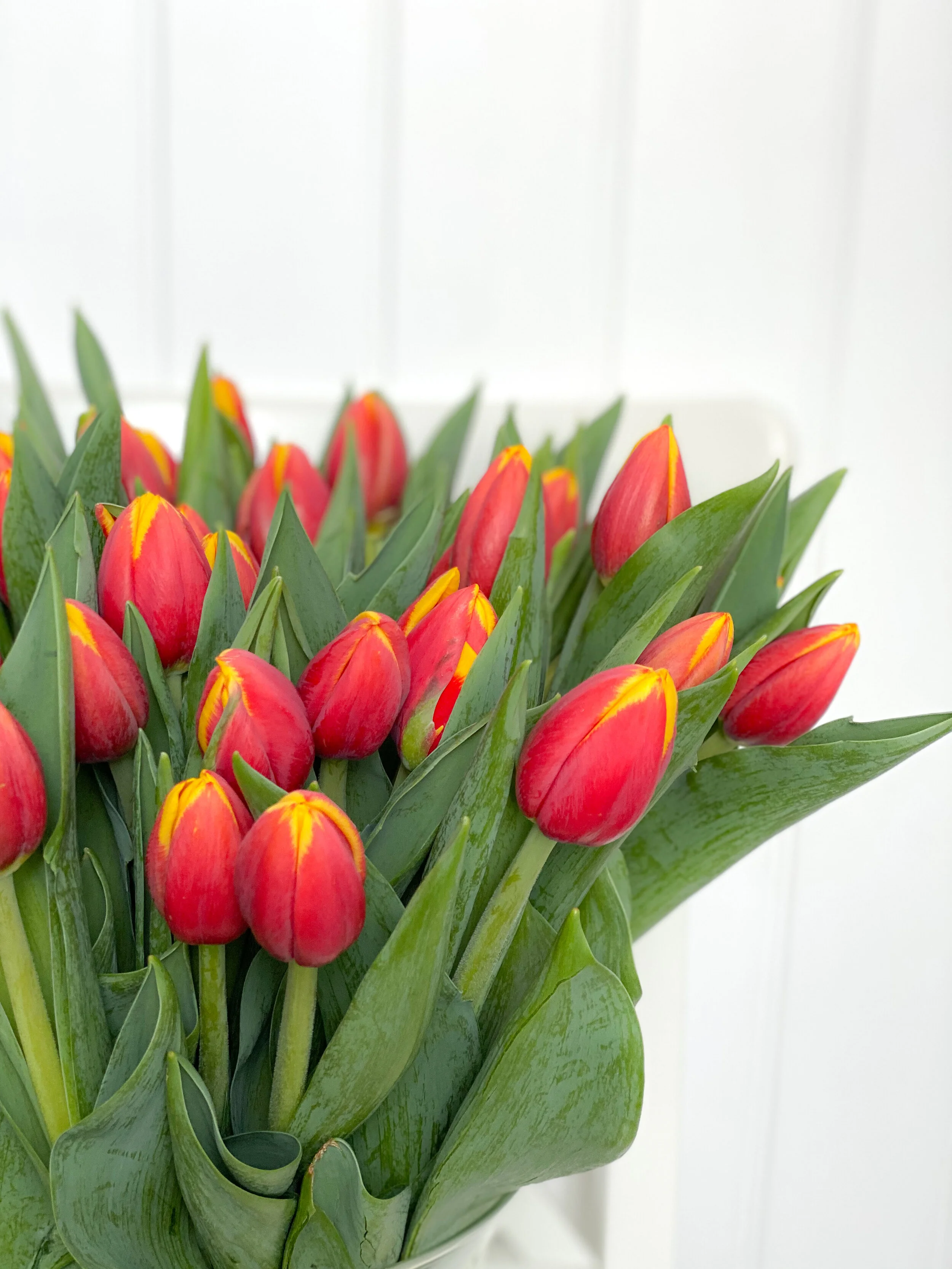 Flower Shop — Bramble & Willow