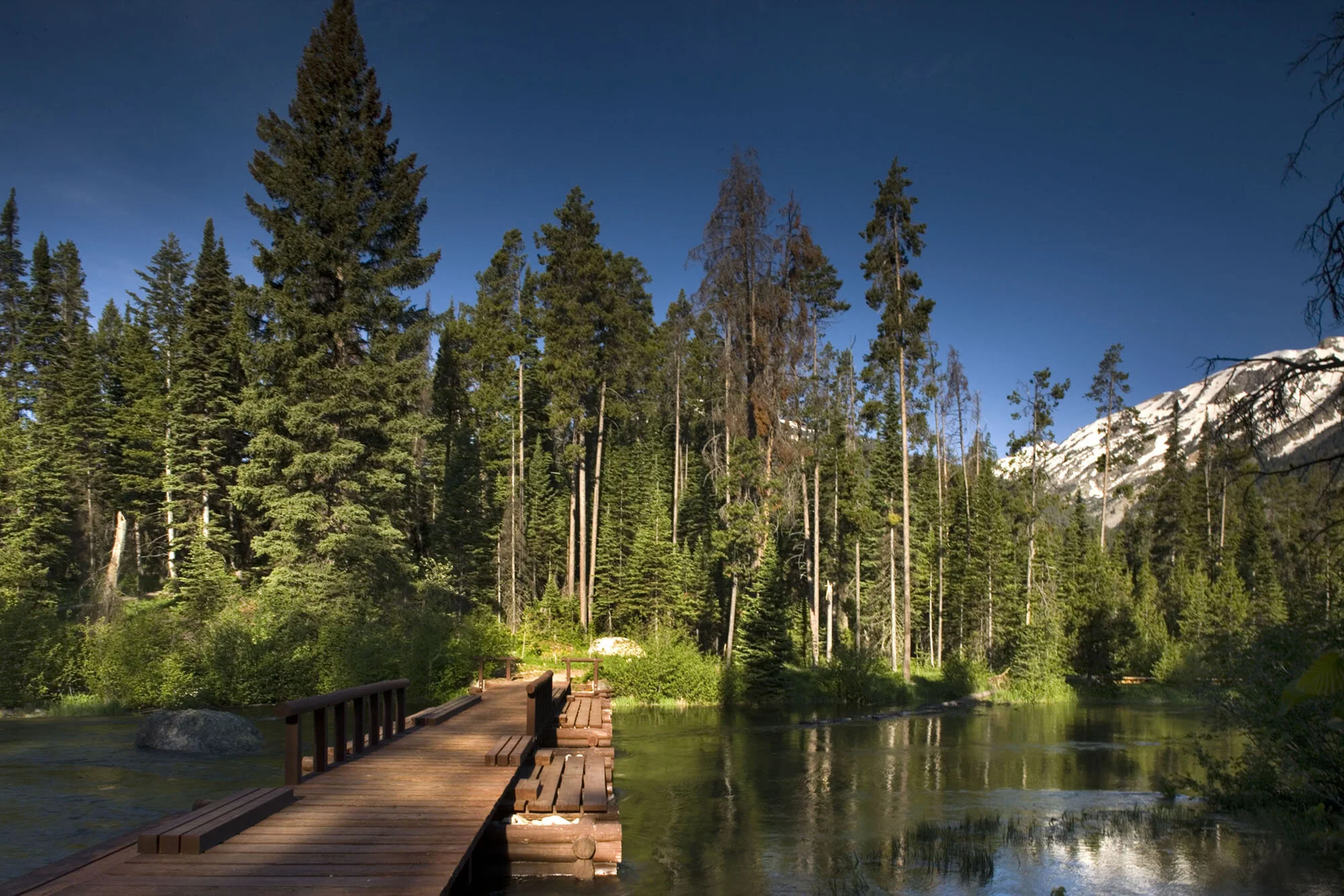 Laurance S. Rockefeller Preserve — Prospect Studio