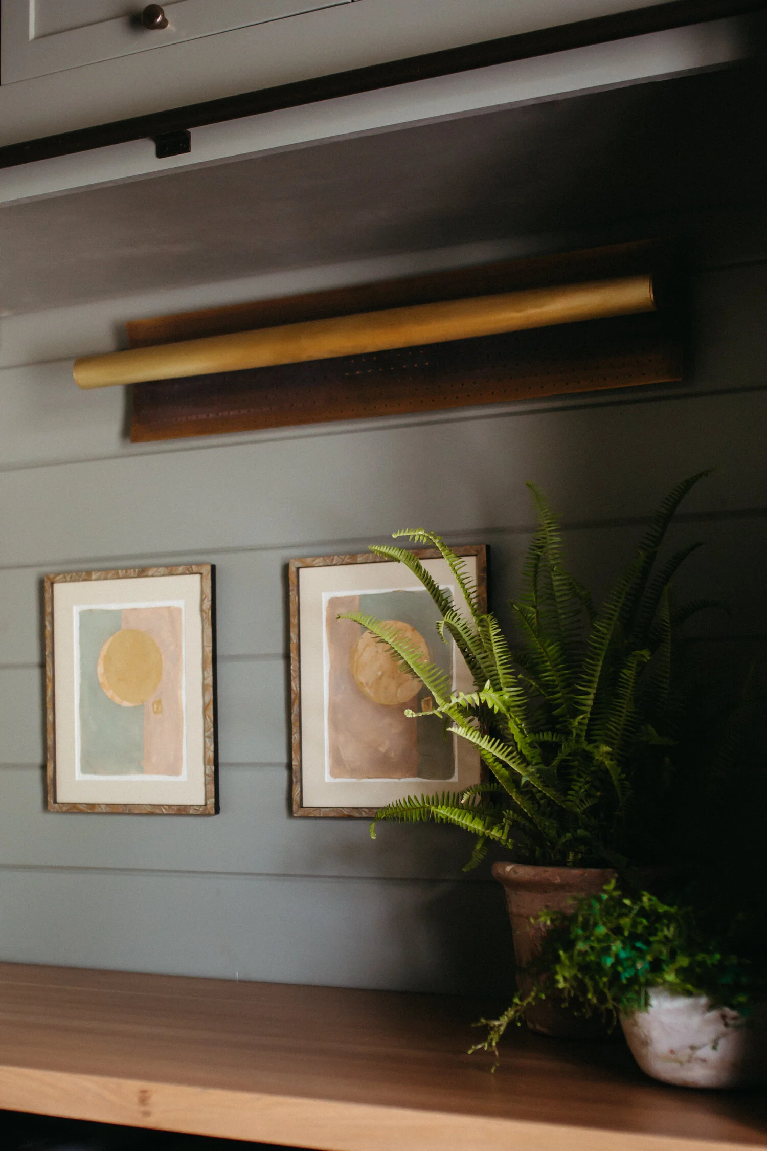 Shop — Evolve Lighting Co.