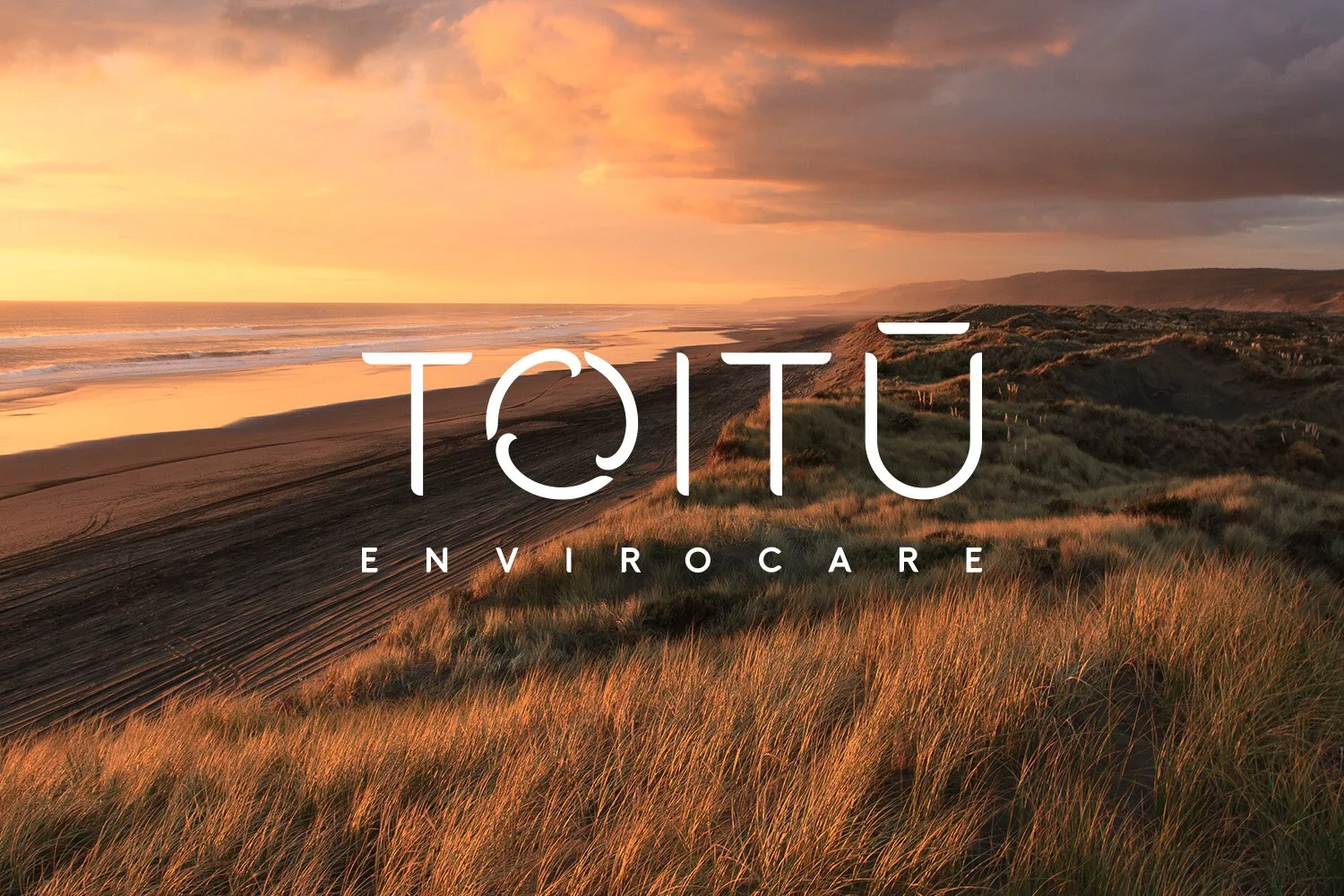 Brightly is going Climate Positive — Brightly