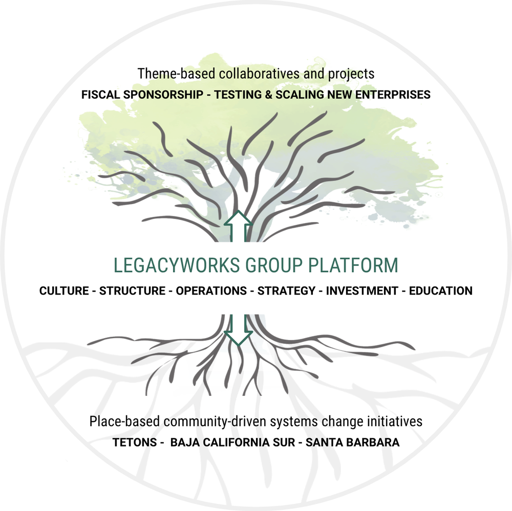 Platform and Programs — LegacyWorks Group