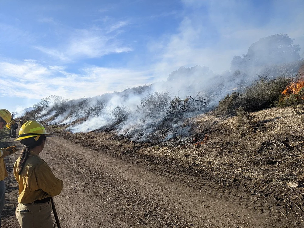 Indigenous Cultural Burning Practices — LegacyWorks Group