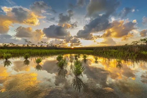 Sentinel Landscapes — LegacyWorks Group