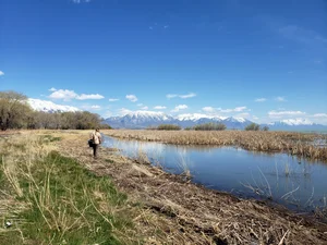 Sentinel Landscapes — LegacyWorks Group