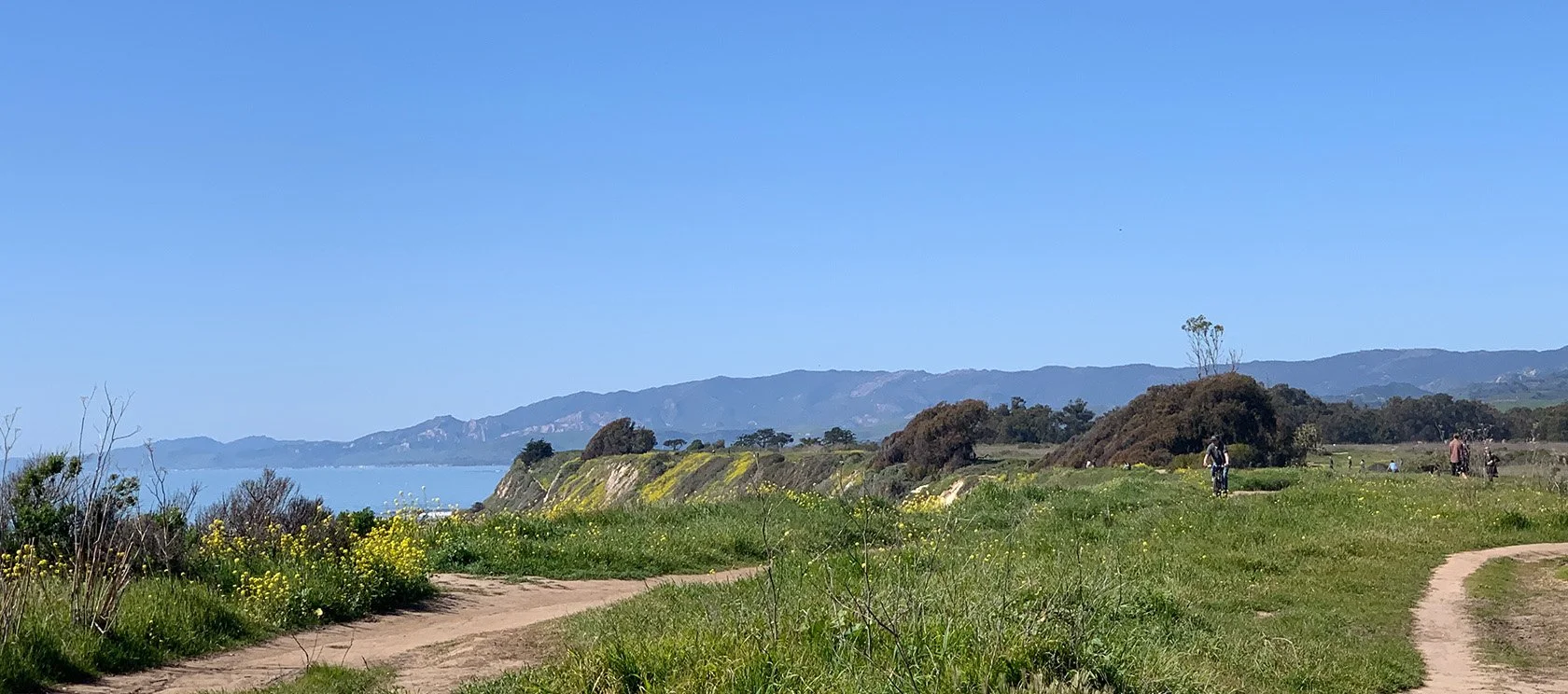 The Heart of Ellwood Mesa — LegacyWorks Group