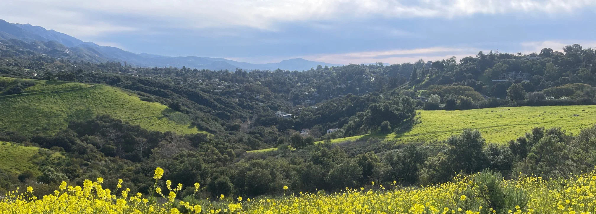 Land Conservation — LegacyWorks Group