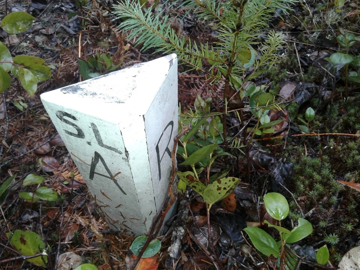 3D Geomatics — Legal Land Surveying — British Columbia