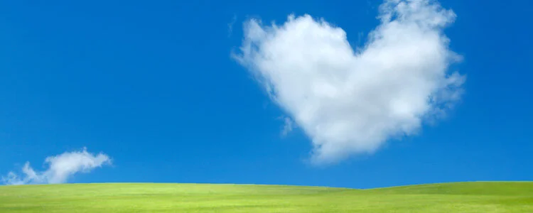 Who We Are — Australian Centre for Heart Health