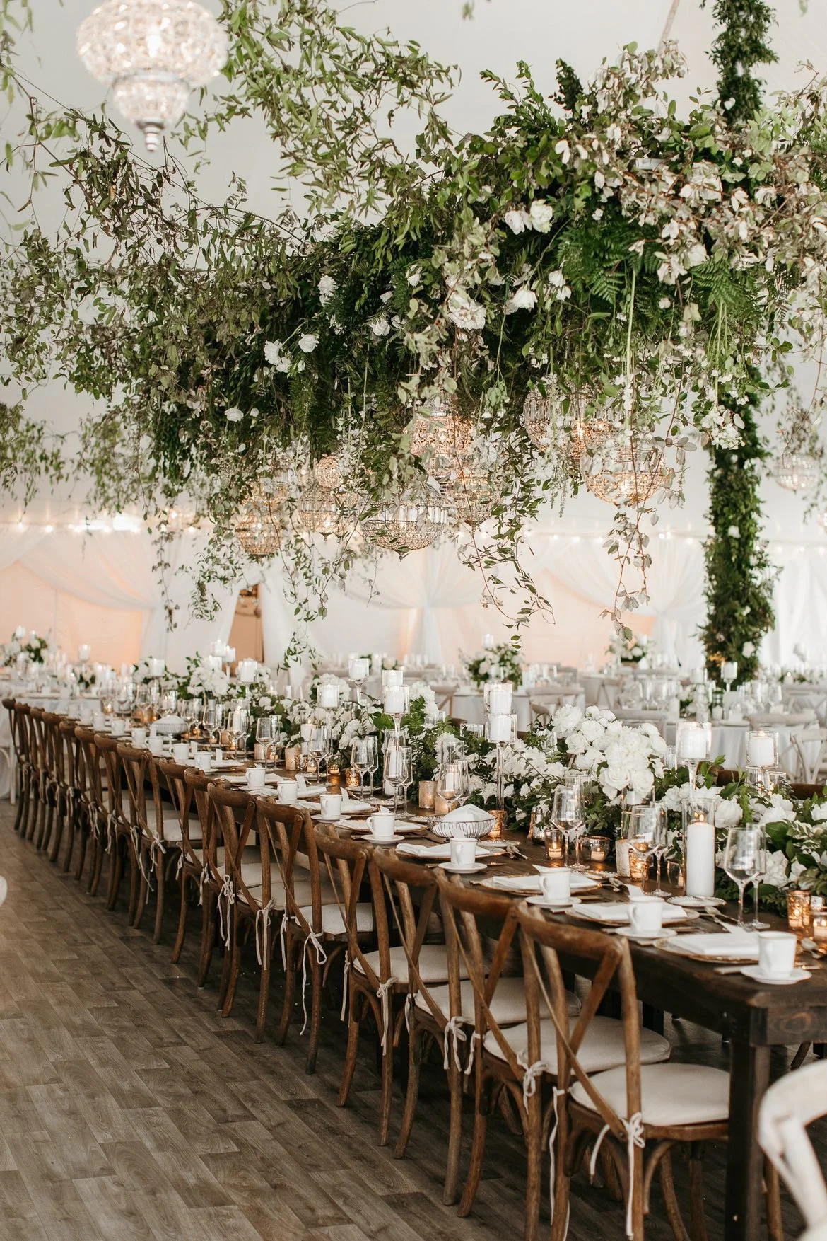 Celeste Collection — PHOS Events
