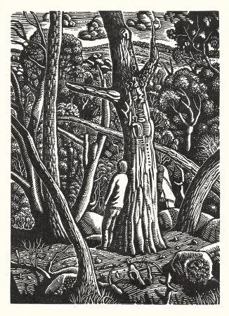 Wood Engravings — DAVID FRAZER