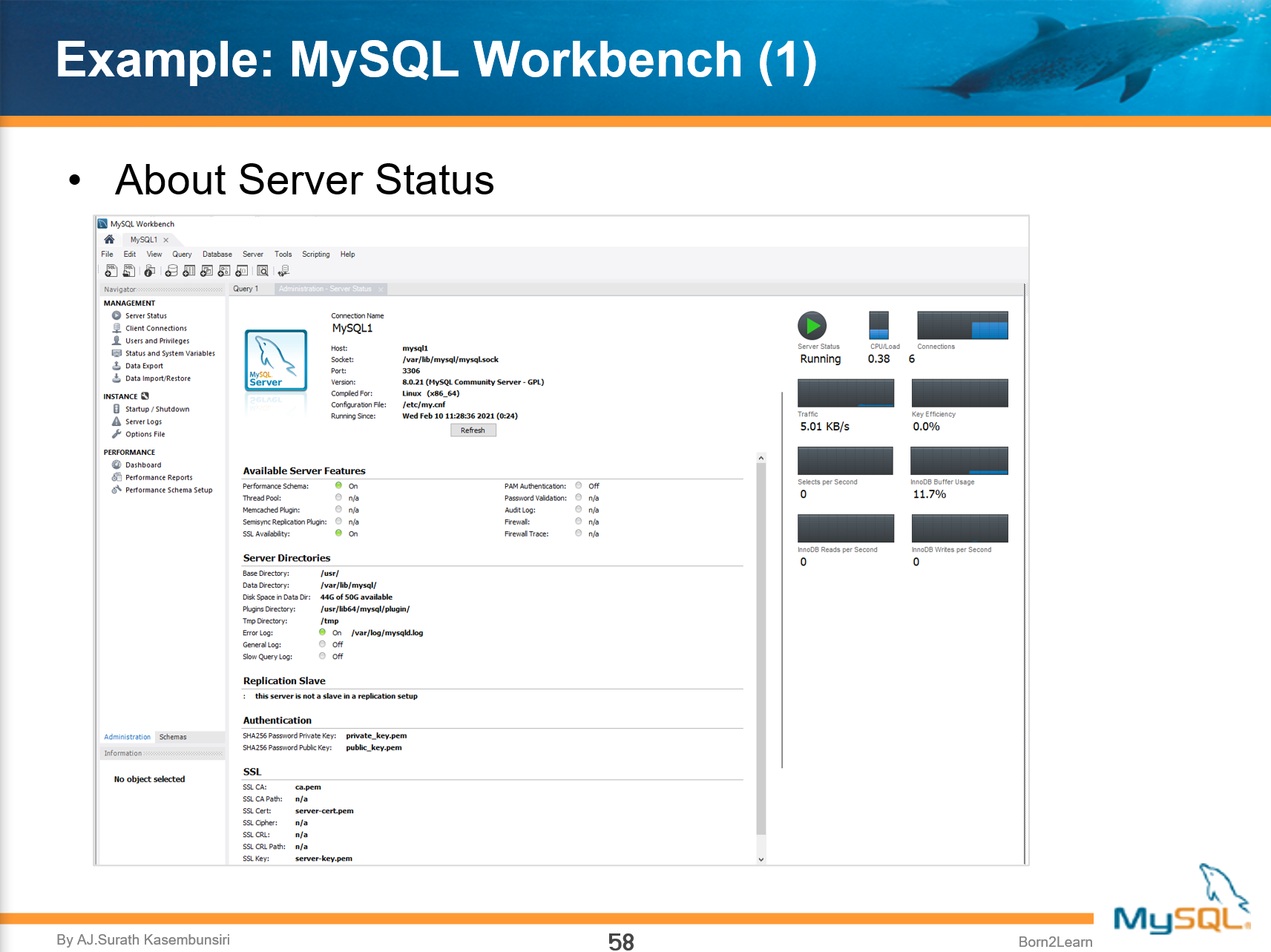 อบรม MySQL สำหรับ DBA — Born2Learn