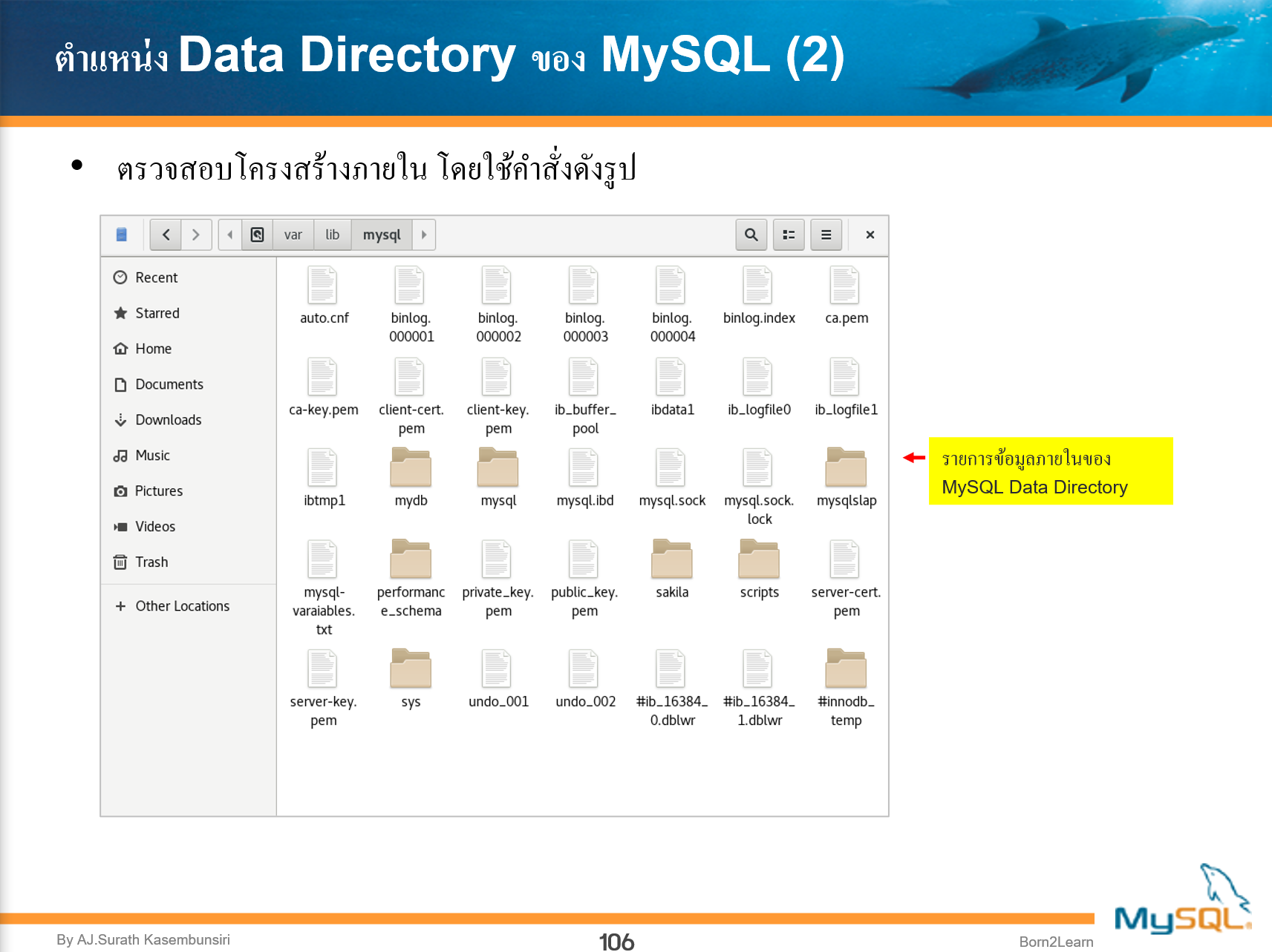 อบรม MySQL สำหรับ DBA — Born2Learn
