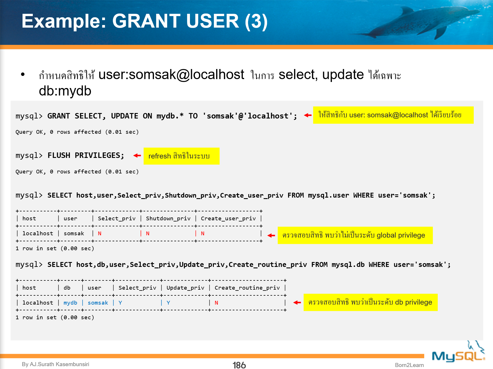 อบรม MySQL สำหรับ DBA — Born2Learn