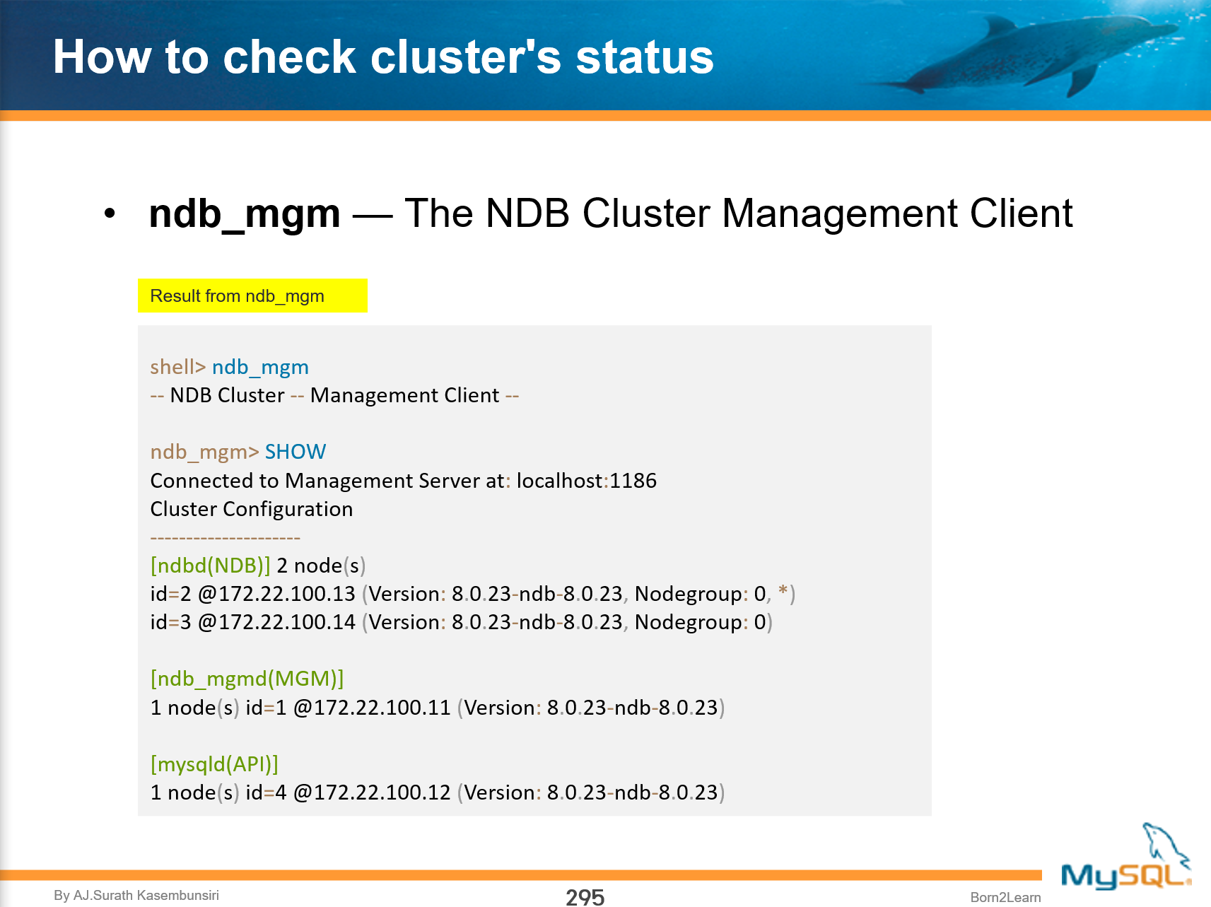 อบรม MySQL สำหรับ DBA — Born2Learn