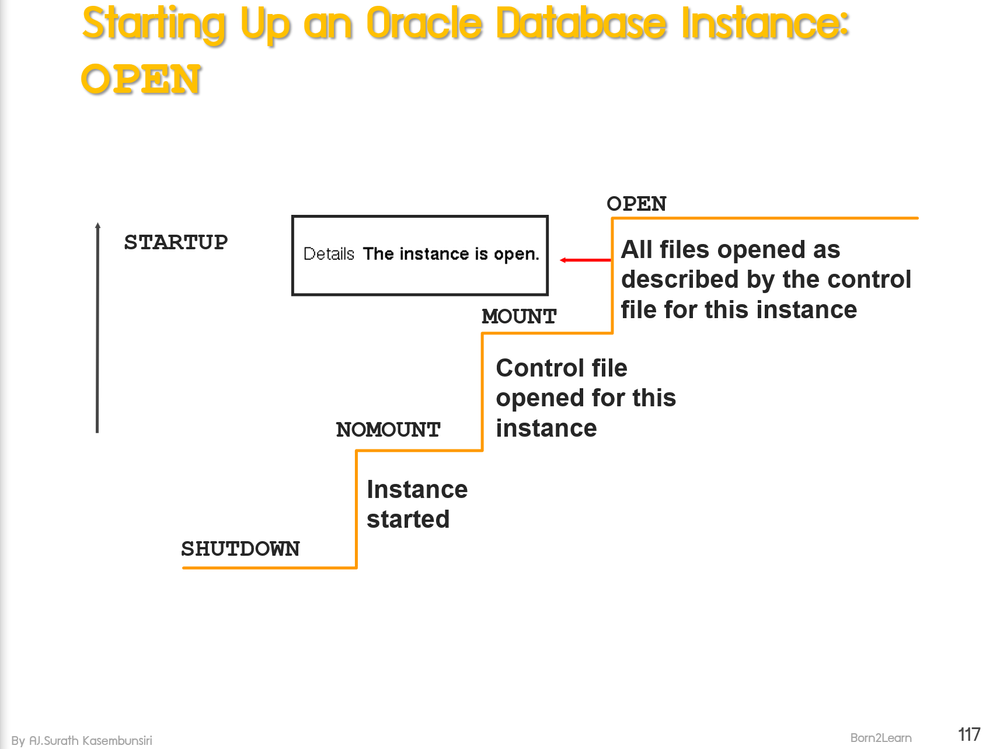 อบรม Oracle Database สำหรับ DBA มืออาชีพ — Born2Learn