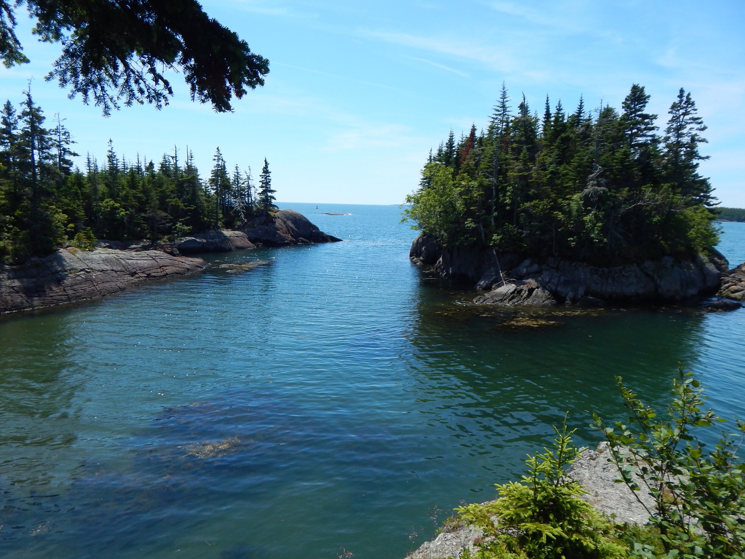 Cynthia Stacey — Nature Trust of New Brunswick
