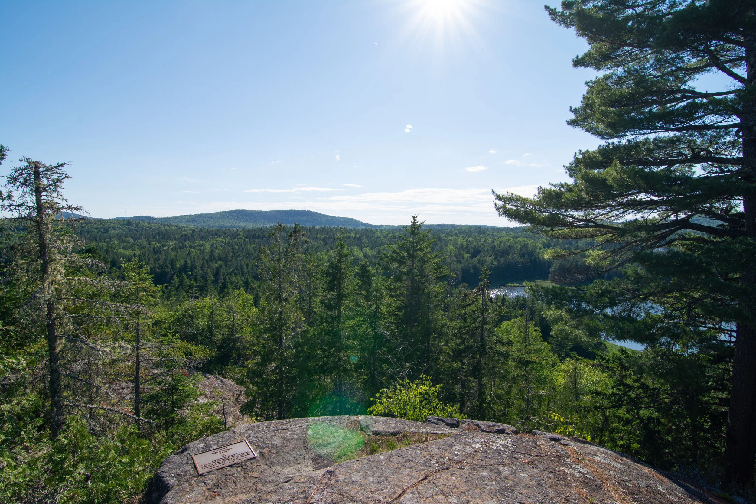 David Palmer — Nature Trust of New Brunswick