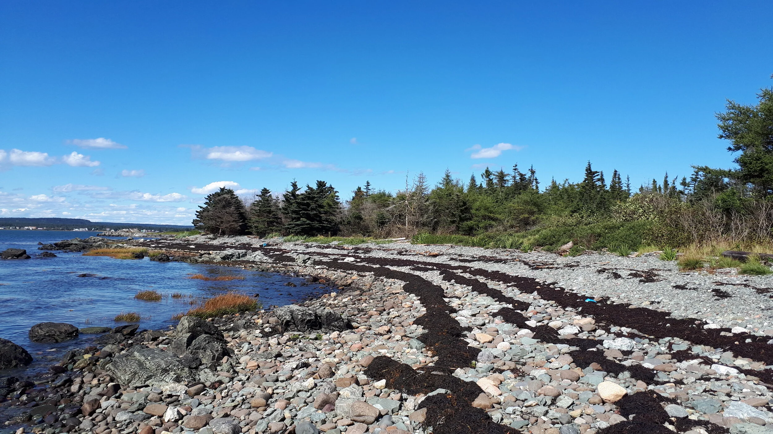 Nature Trust Celebrates the Conservation of Over 10,000 Acres of Land ...