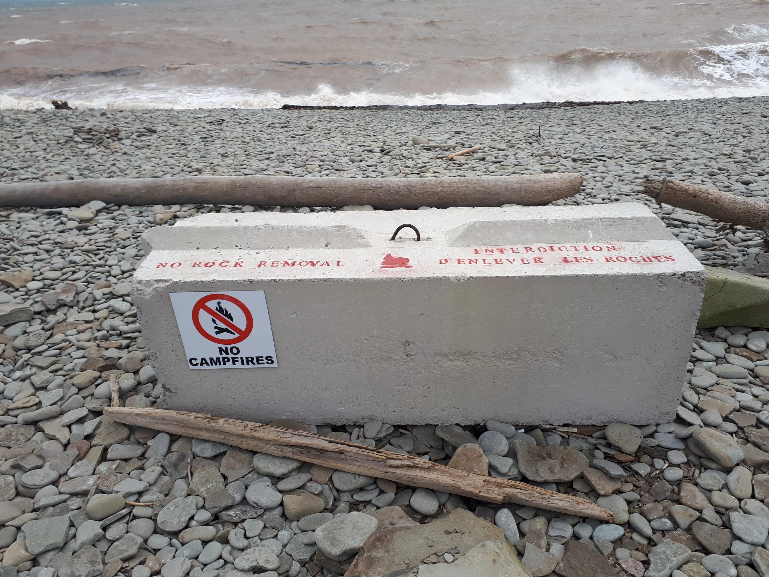 Statement on the Removal of Critical Rocks and Fossils from the Cape ...