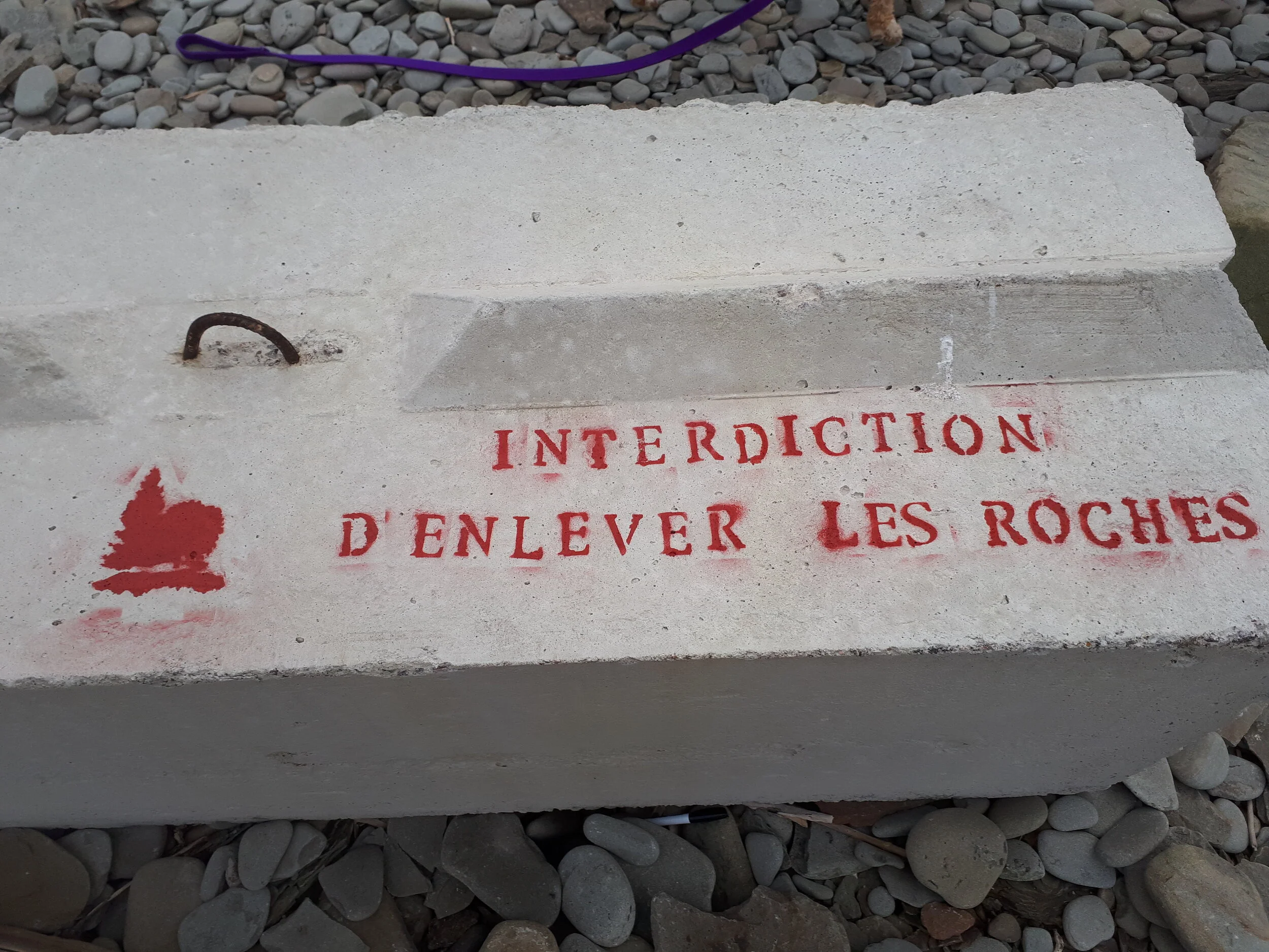 Statement on the Removal of Critical Rocks and Fossils from the Cape ...