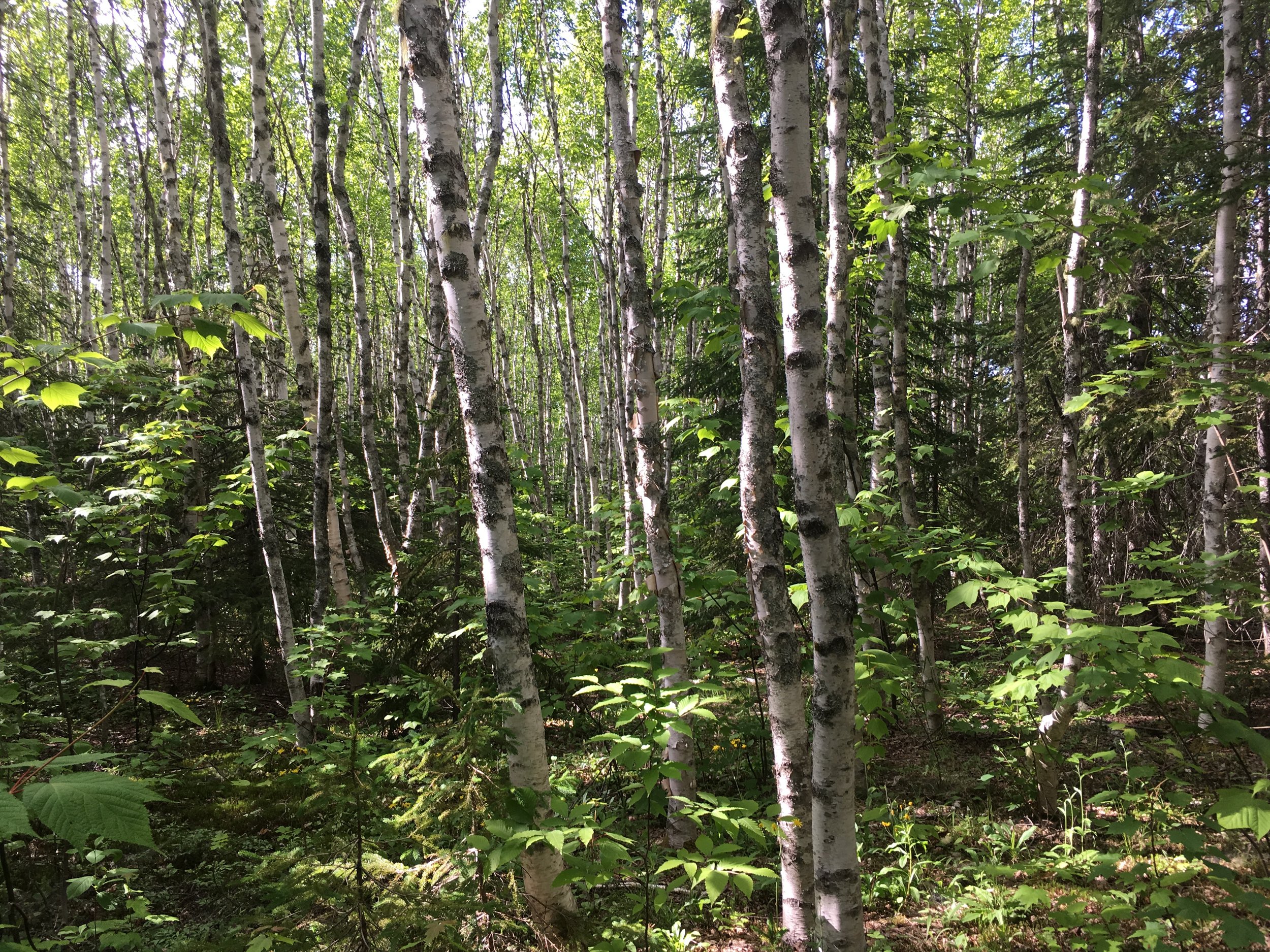 2021 CYNB Protected Properties EN — Nature Trust of New Brunswick