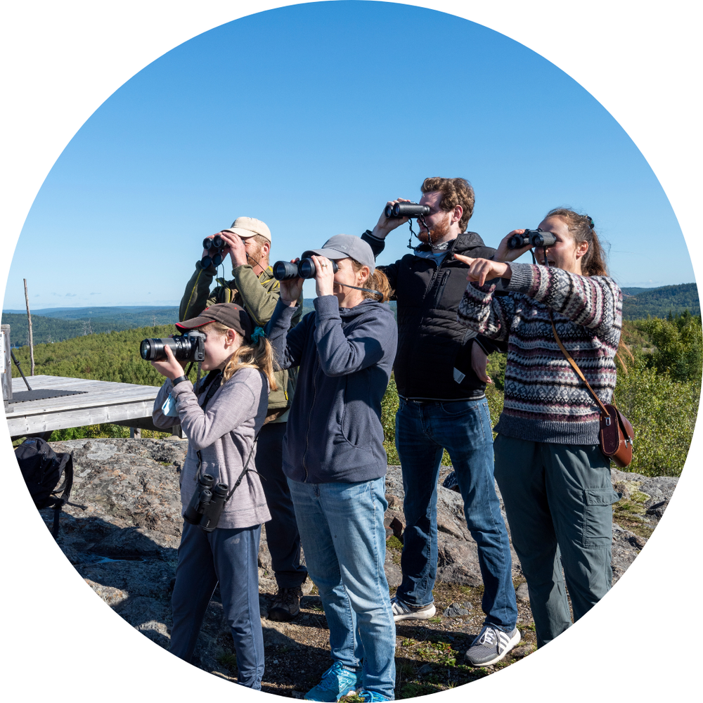 Species Tracker: Plant Walk with Jim Goltz — Nature Trust of New Brunswick