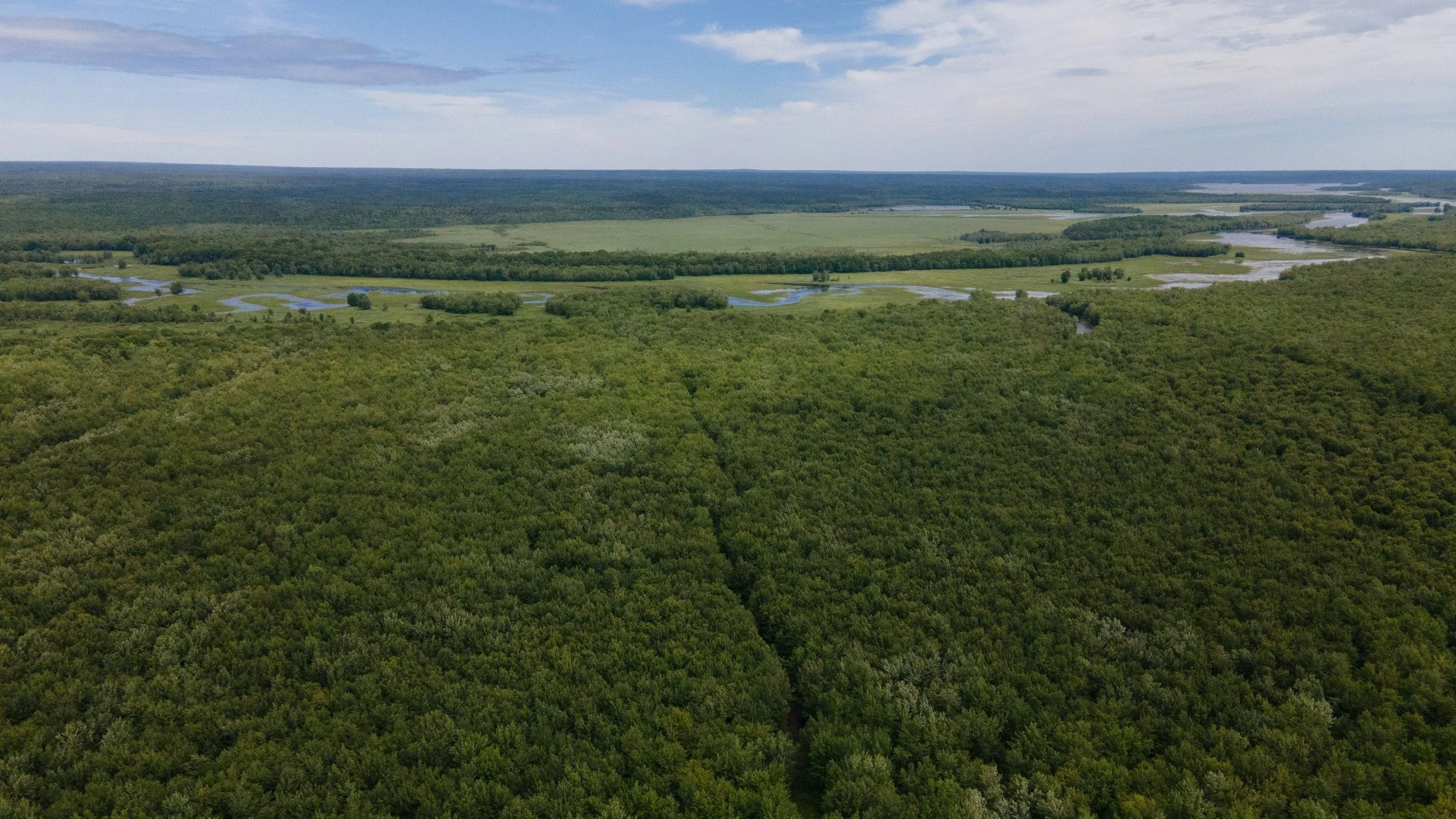 Home — Nature Trust of New Brunswick