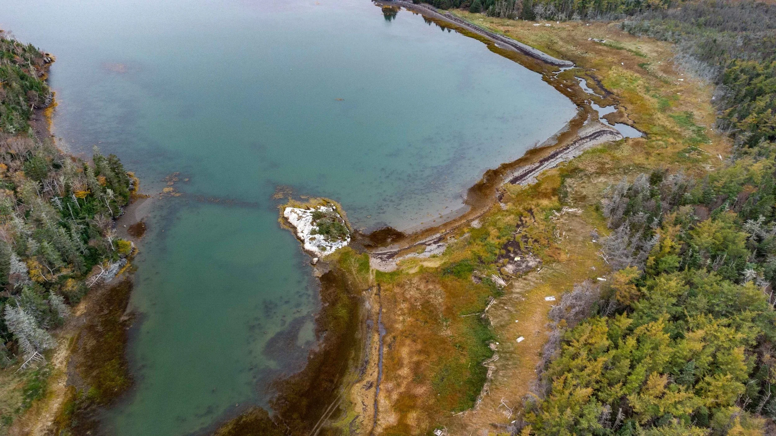 Home — Nature Trust of New Brunswick