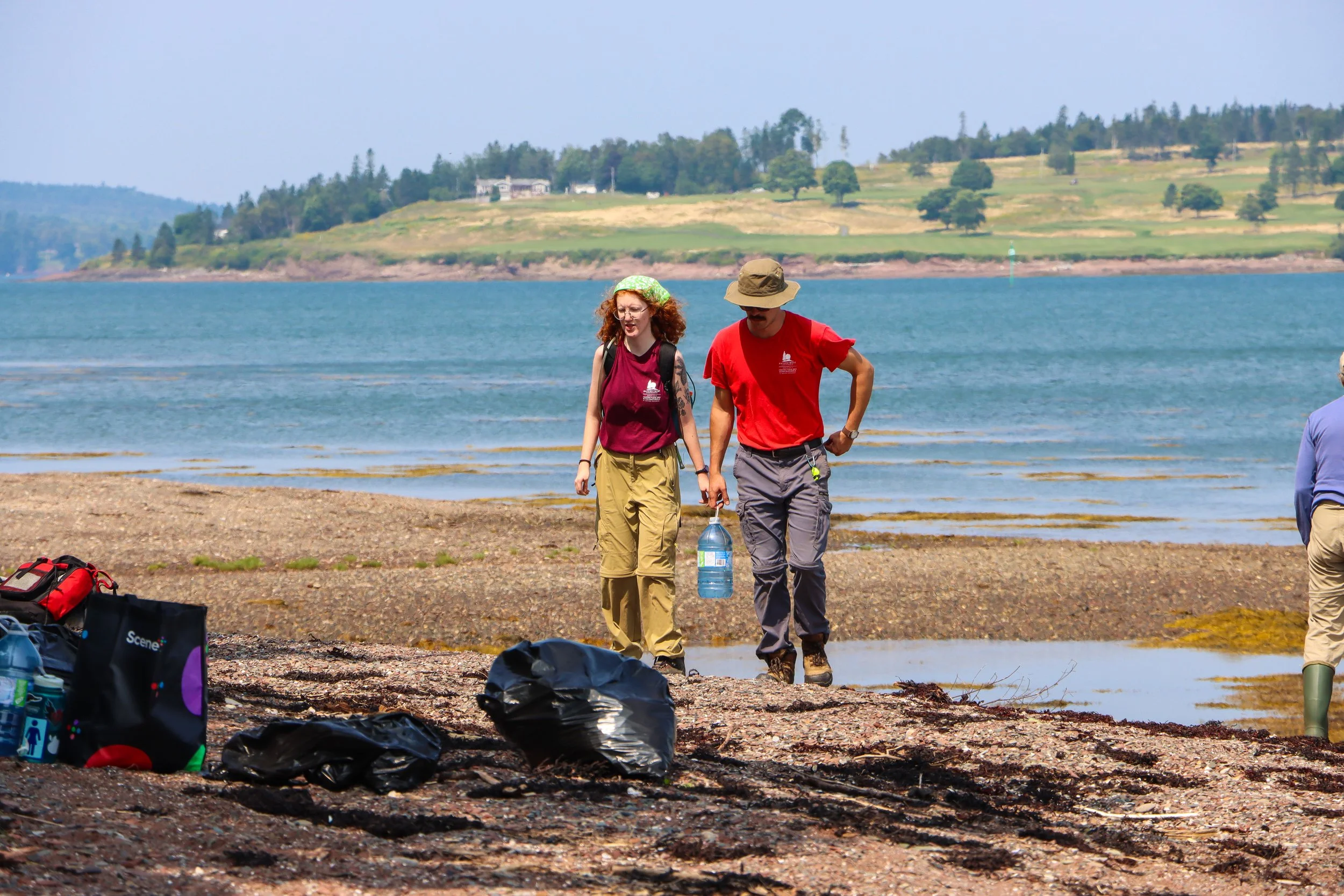 Great Fundy Coastal Cleanup on Navy Island Nature Preserve — Nature ...
