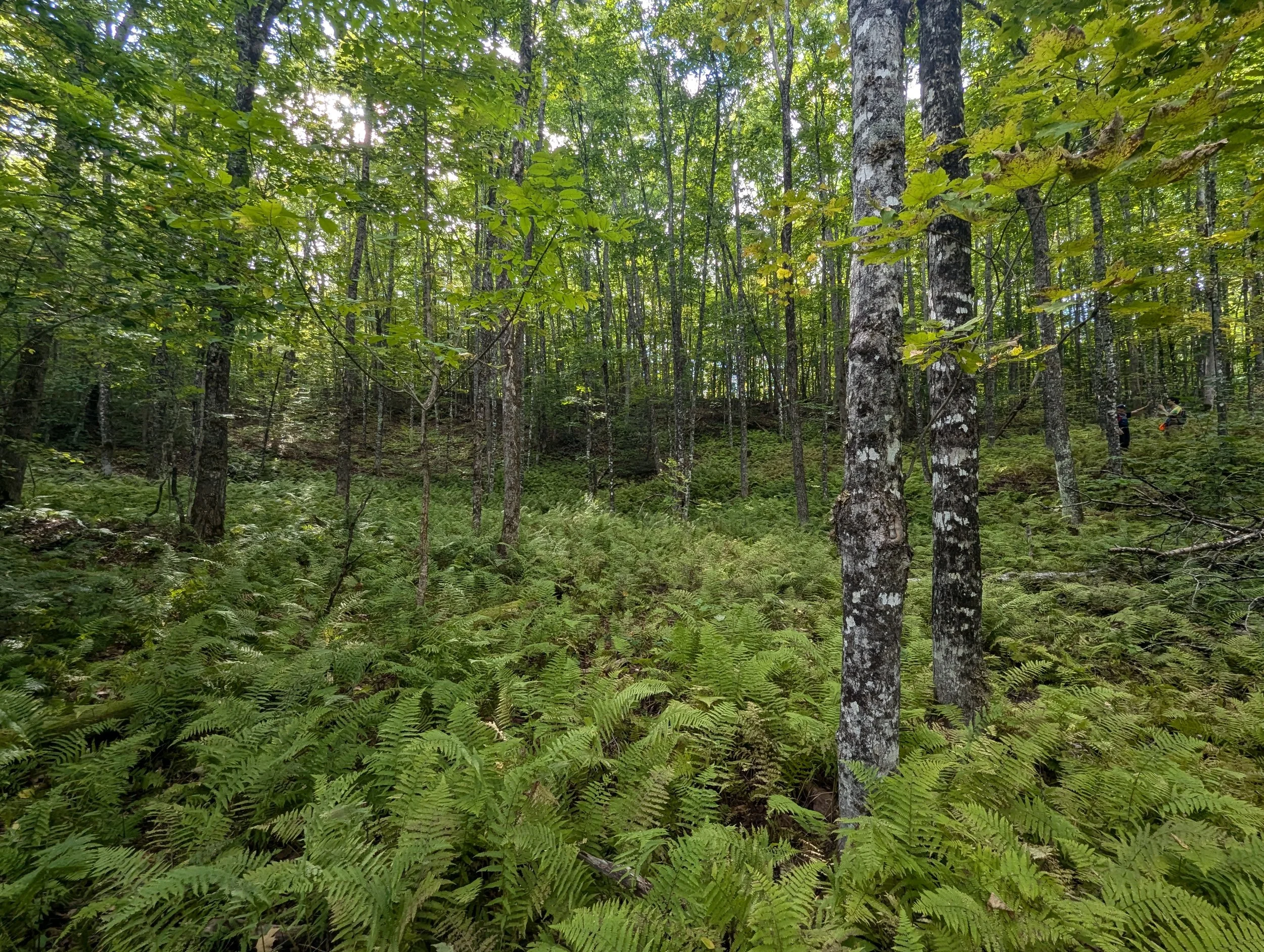Home — Nature Trust of New Brunswick