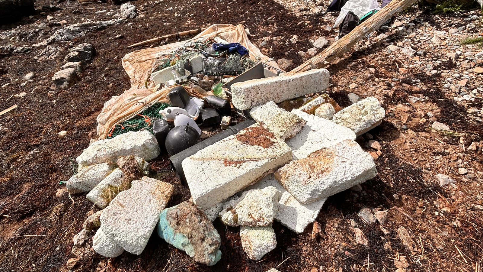 2025 Terry Fox Frye cleanup — Nature Trust of New Brunswick