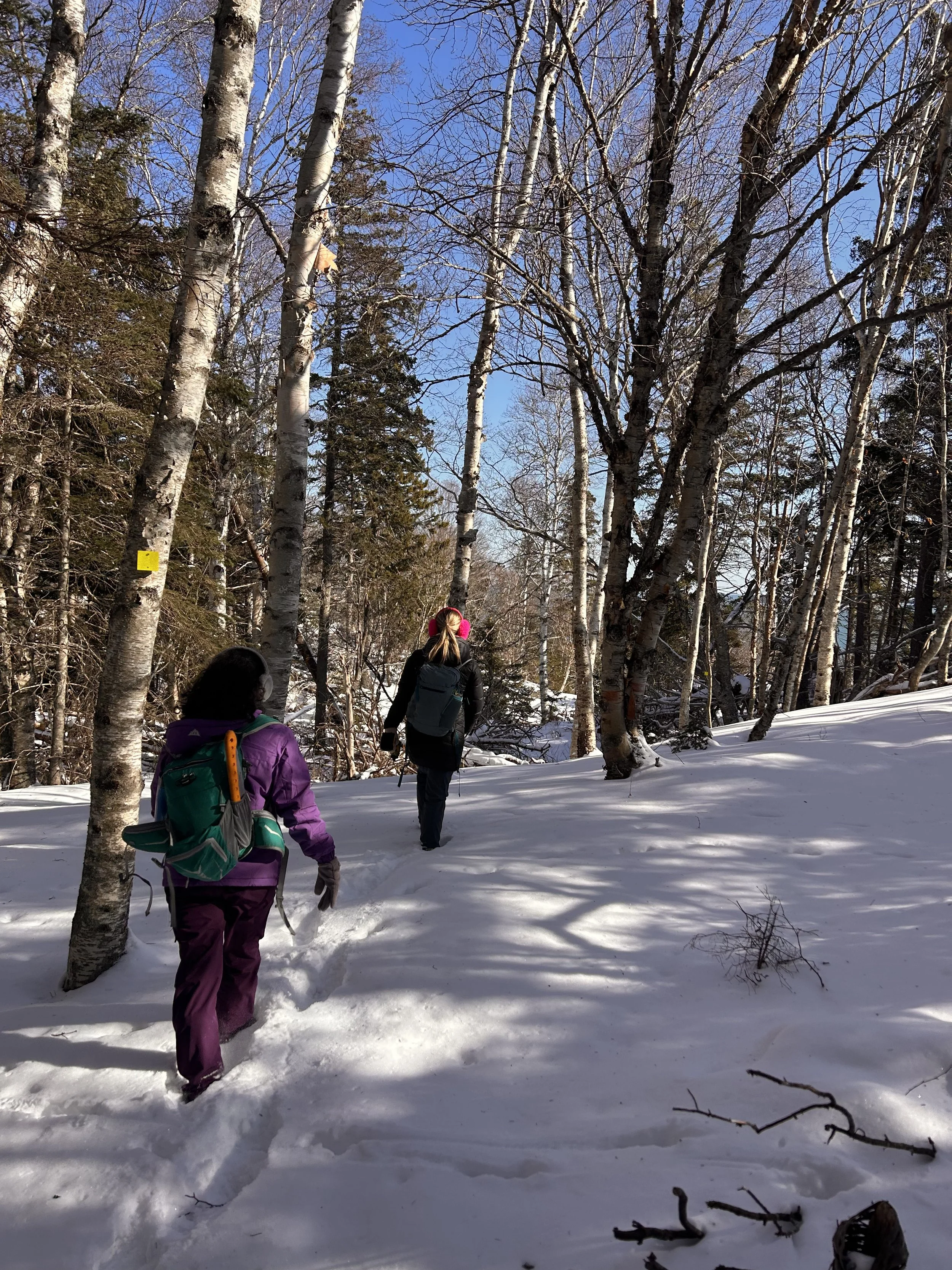 Embrace the Season: Winter Hiking Adventures on Our Trails — Nature ...