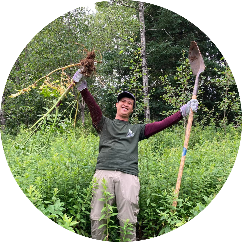 Invasive Species Identification & Removal in Fredericton — Nature Trust ...