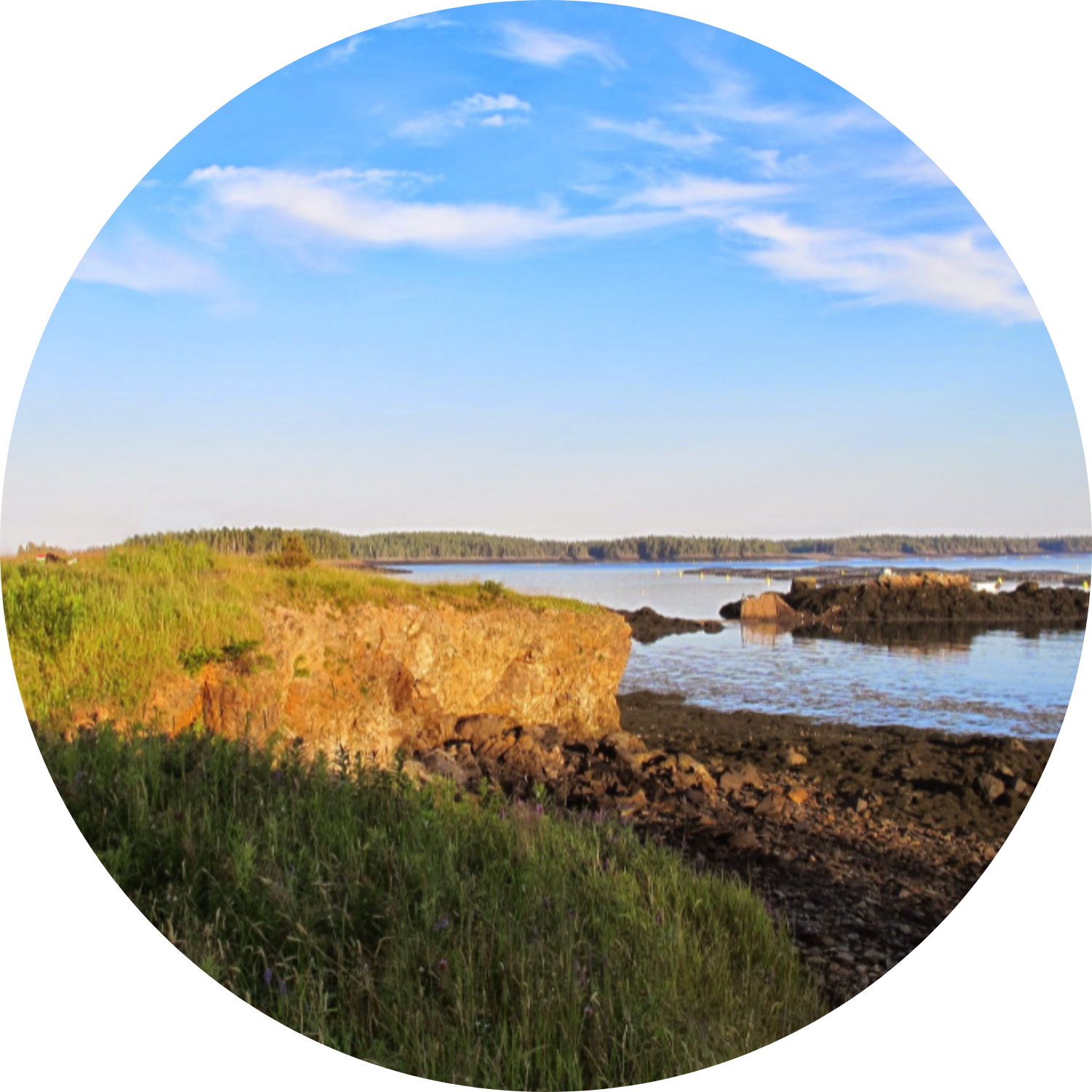 Great Fundy Coastal Cleanup on Frye Island, St. George NB — Nature ...