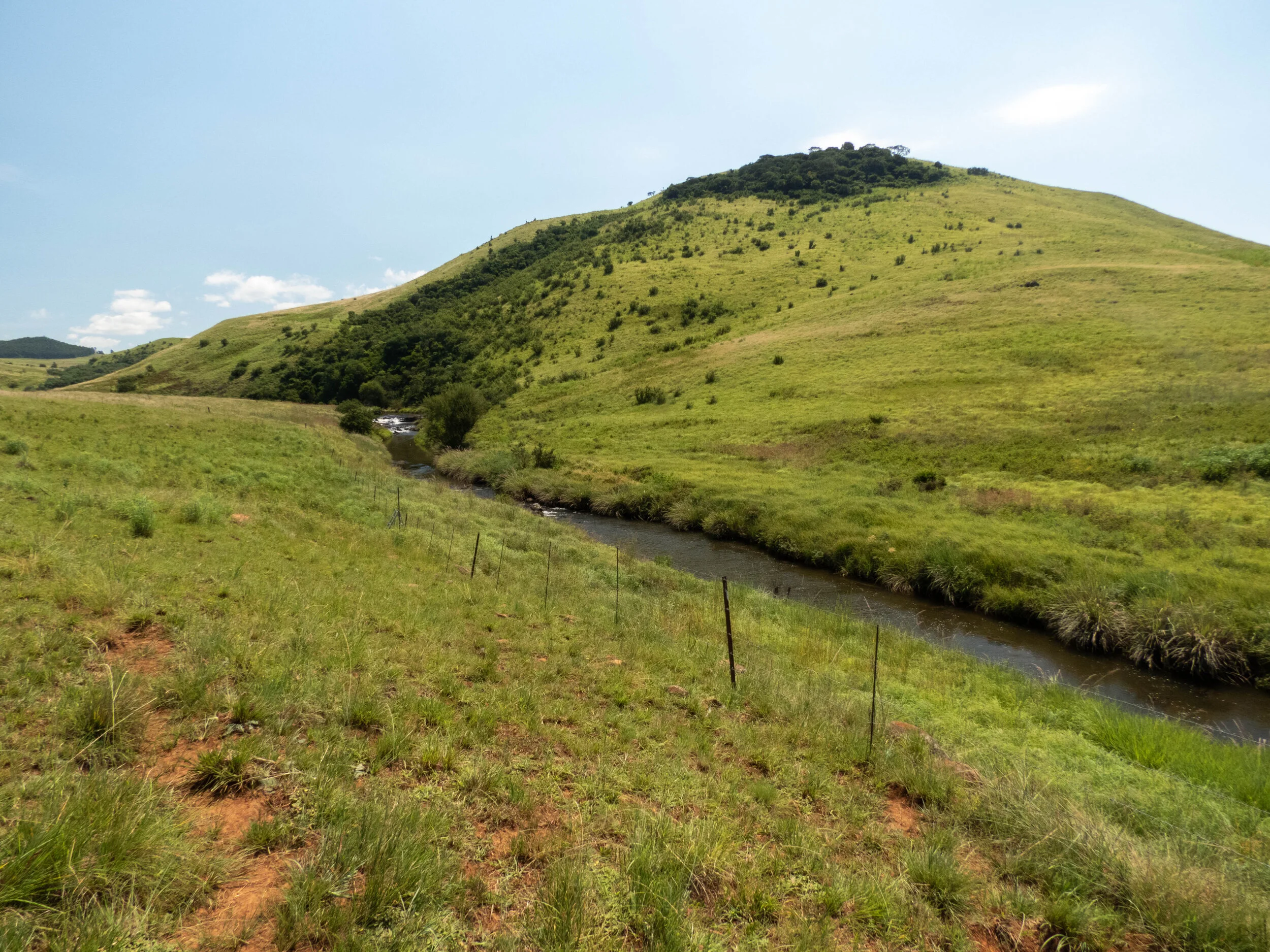Caring for our highland catchments
