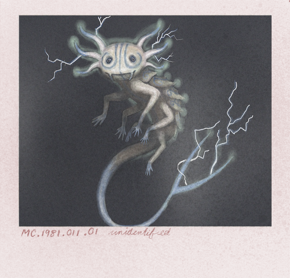 ASPMC - American Society for the Protection of Magical Creatures