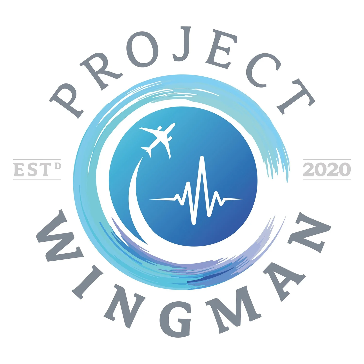 Project Wingman