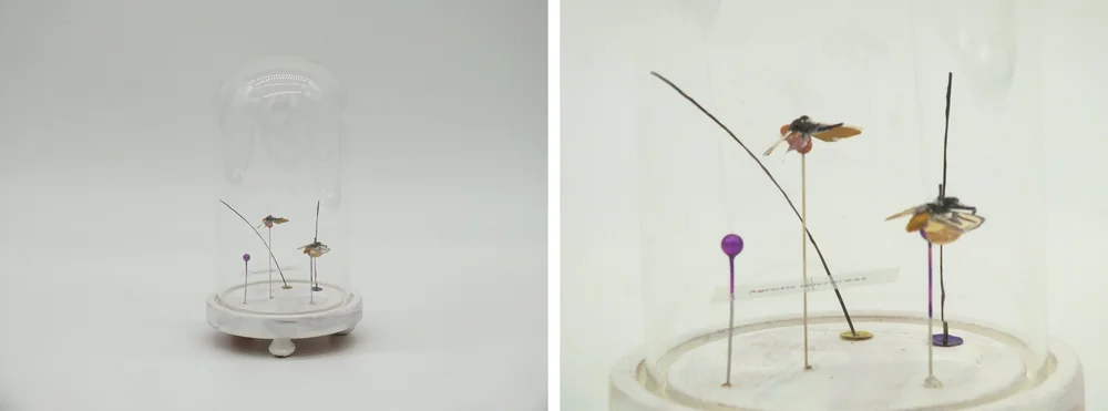 Extinct Lepidoptera butterflies moths — José Luis Viñas