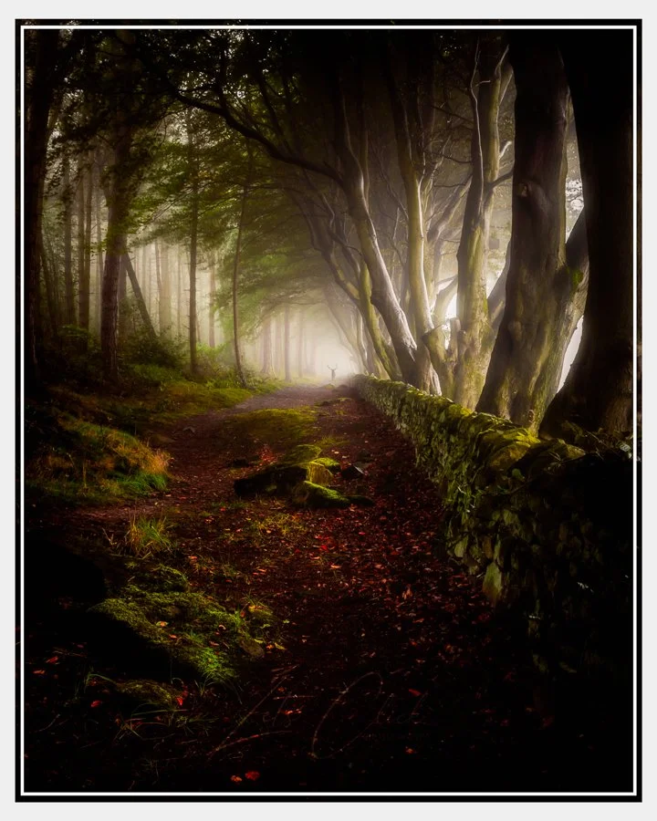 Landscape Photography into 2023 and Beyond — Lets Click Photography