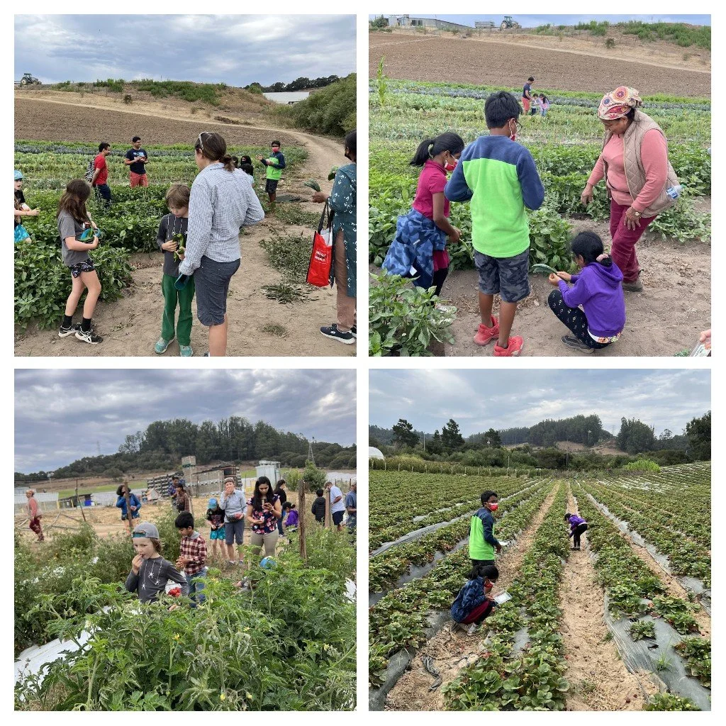 Tera Farm - Farm Visits — Tera Farm