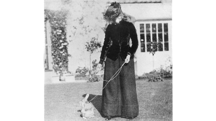 Art Lesson w/ Ms. Jennifer: Beatrix Potter — Blowing Rock Art & History ...