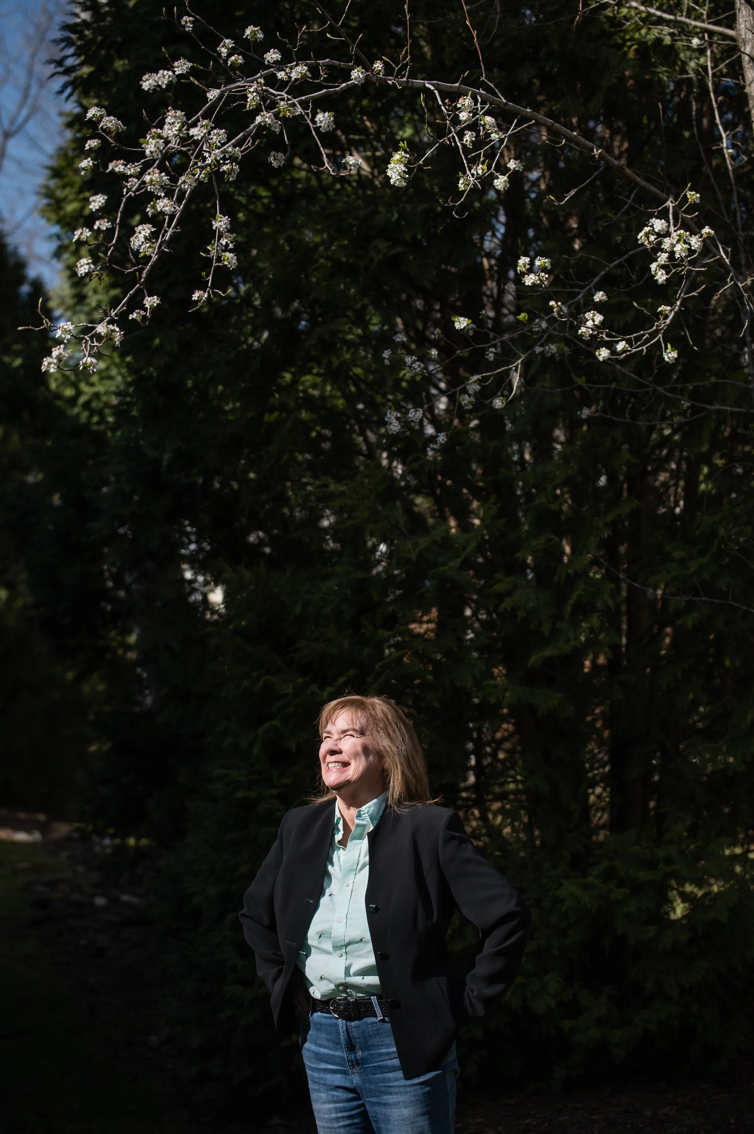 AARP — Blowing Rock Art & History Museum