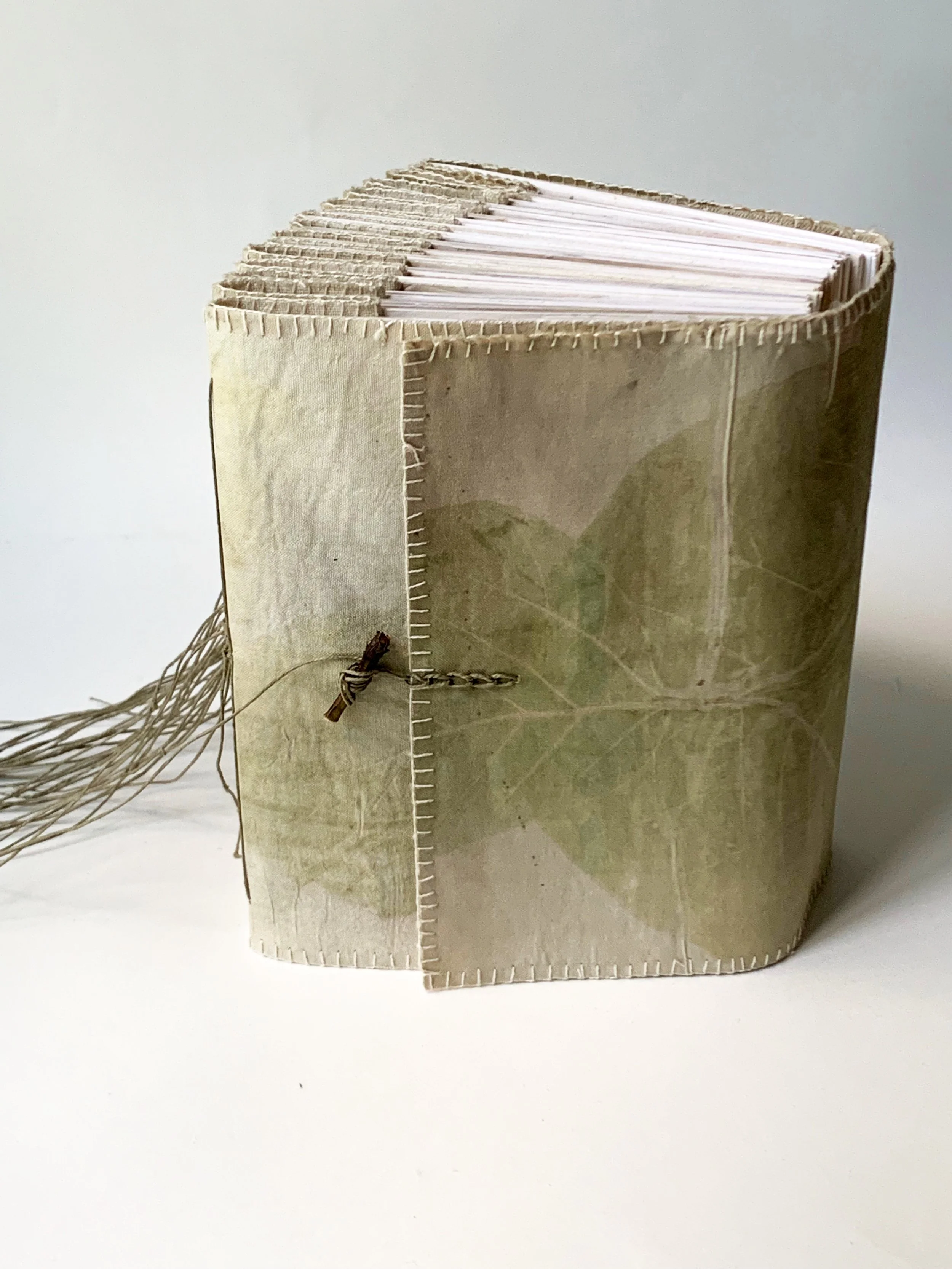 Pulp & Bind: Paper & Book in Southern Appalachia — Blowing Rock Art ...