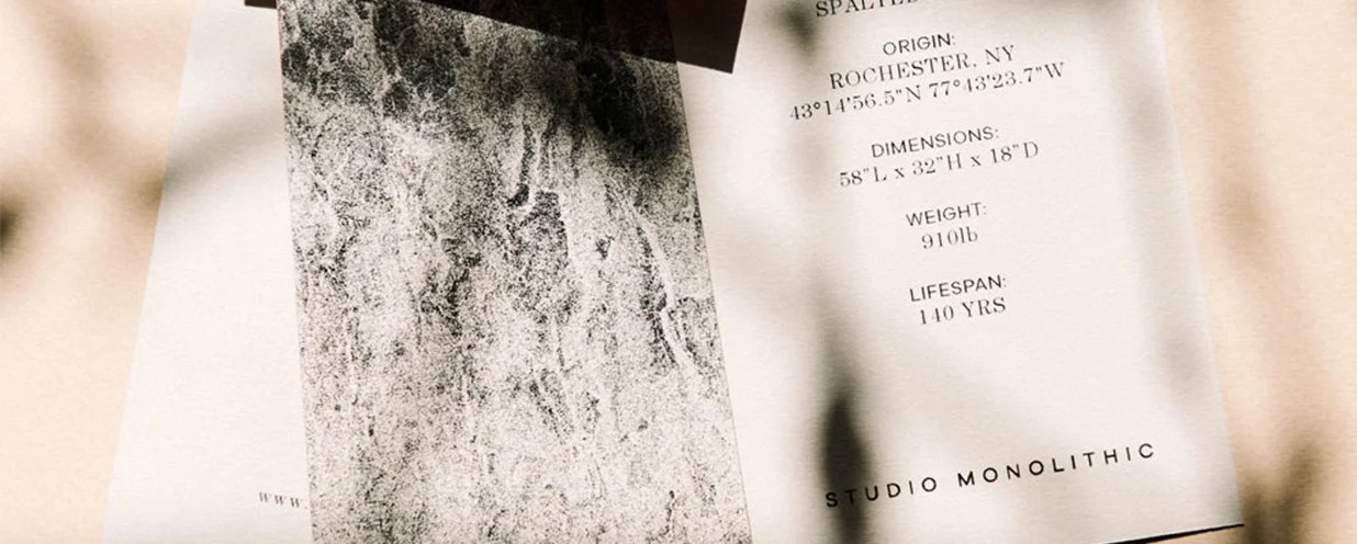 Studio Monolithic — Savvy Studio