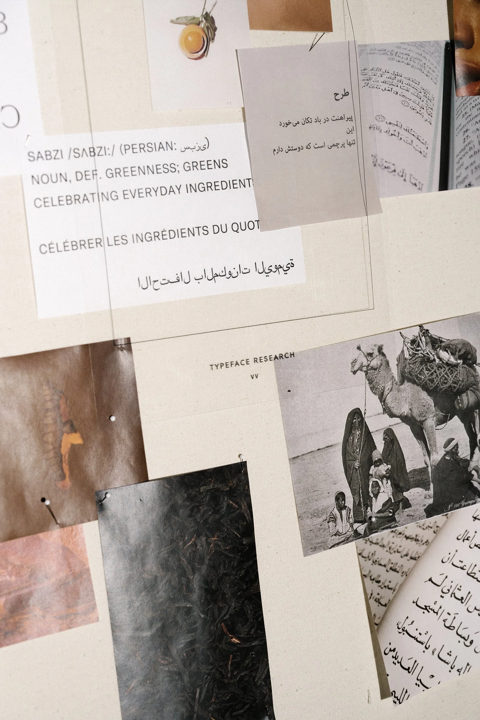 Sabzi — Savvy Studio
