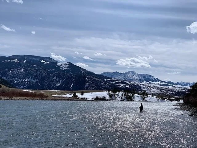 Wade | Yellowstone Fly Fishing Guides | Yellowstone Fly Fishing Co.