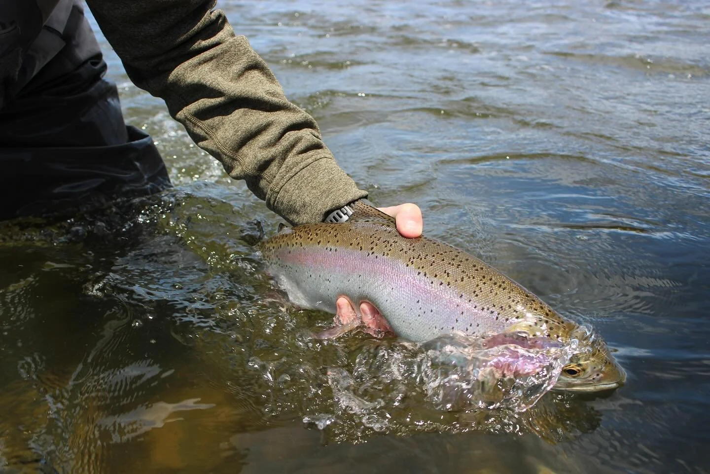 Best Yellowstone Fly Fishing Guides | Yellowstone Fly Fishing Co.