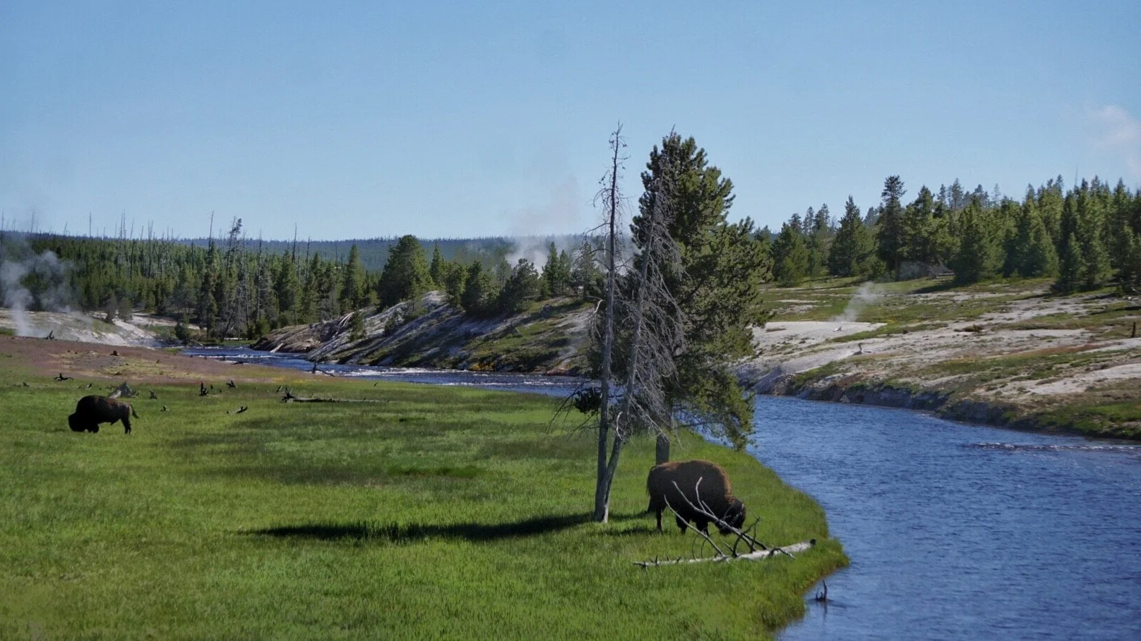 Best Yellowstone Fly Fishing Guides | Yellowstone Fly Fishing Co.